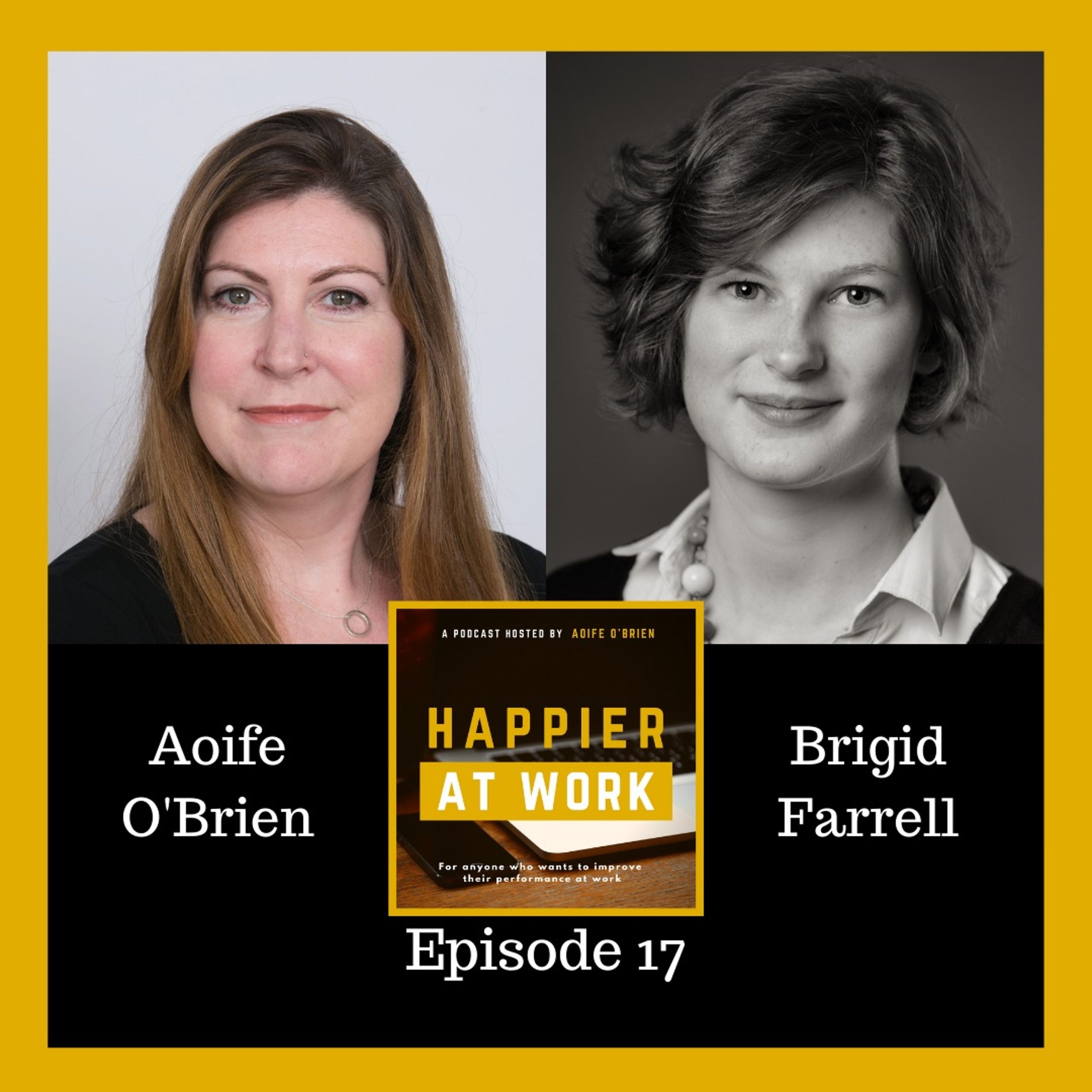 17: Brigid Farrell on Cross-cultural Communication - Happier at Work